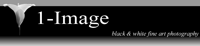 1-Image black & white fine art photography website